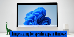 How to change Scaling for Specific Apps in Windows 11