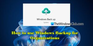How to use Windows Backup for Organizations