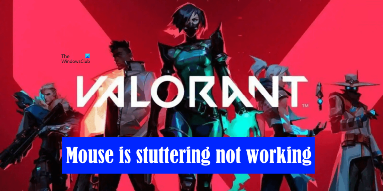 Mouse is stuttering or not working in Valorant