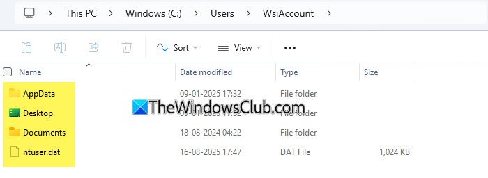 What is WsiAccount folder in Users in Windows 11