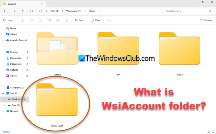 What is WsiAccount folder in Users in Windows 11