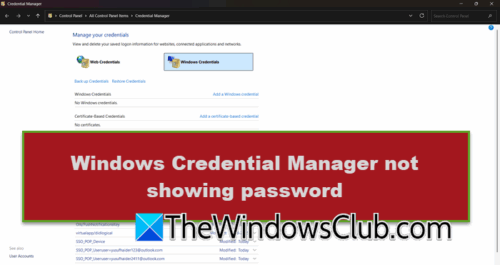 Windows Credential Manager not showing password