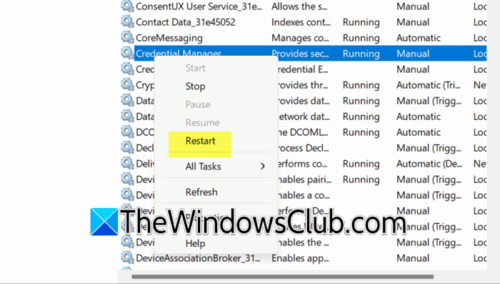 Windows Credential Manager not showing password