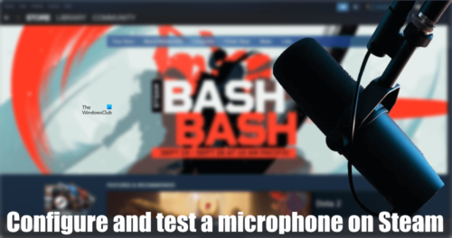 How to configure and test a Microphone in Steam