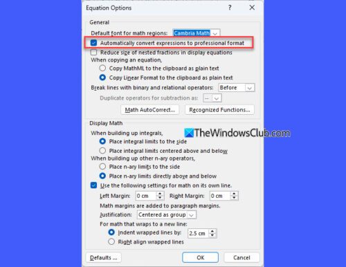 Word Equation not converting to professional format