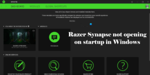 Razer Synapse not opening on startup in Windows 11