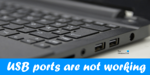 USB ports are not working in Windows 11