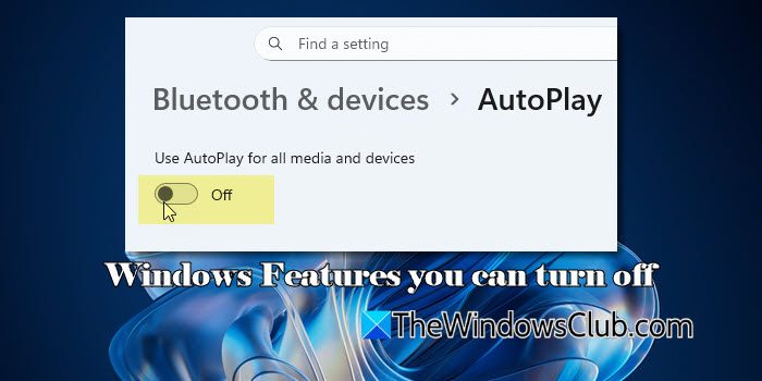 How to disable Microsoft Text Input Application in Windows 11/10