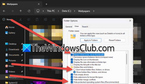 File Explorer tabs missing in Windows 11