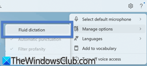 Turn on or off Fluid Dictation in Voice Access on Windows 11