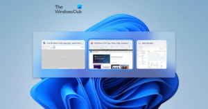 How to remove Alt+Tab Blur Background in Windows 11