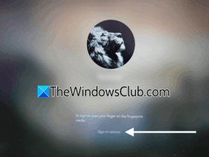 Can't login after Factory Reset in Windows 11