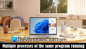 Multiple processes of the same program running on Windows 11