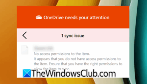 No access permissions to the item OneDrive [Fix]
