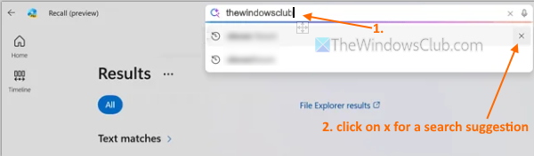 How to clear Search history in Recall on Windows 11?