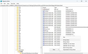 Disable Folder Type Discovery in File Explorer in Windows 11
