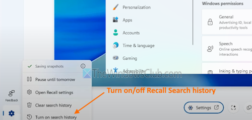 How to clear Search history in Recall on Windows 11?
