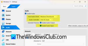 Microphone not working in Oracle VirtualBox VM
