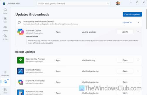 Sorry, we ran into a problem loading this app Copilot error