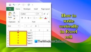 How to write vertically in Excel cell