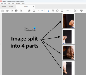 How to print a Large Image or Poster on multiple pages on a PC