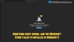 Fix Microsoft Store error 0x800700AA on Windows 11/10