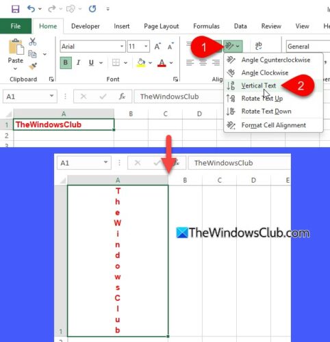 How to write vertically in Excel cell