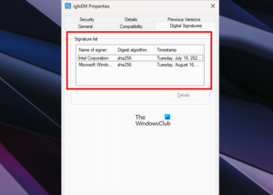 What is RAV antivirus? Should I remove it from my PC?