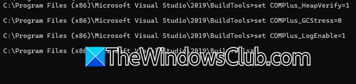 Process was terminated due to an internal error in .NET Runtime
