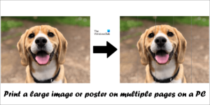 How to print a Large Image or Poster on multiple pages on a PC