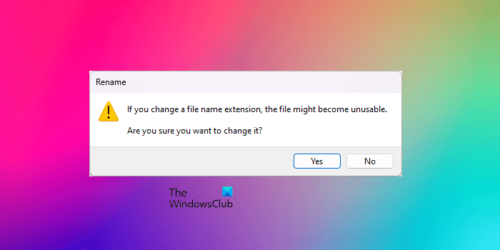 What are File Extensions and why are they important?