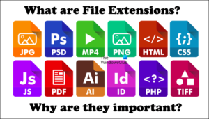 What are File Extensions and why are they important?