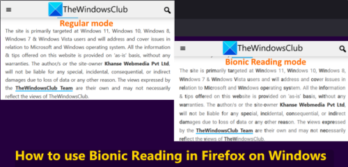 How to use Bionic Reading in Firefox on Windows 11/10