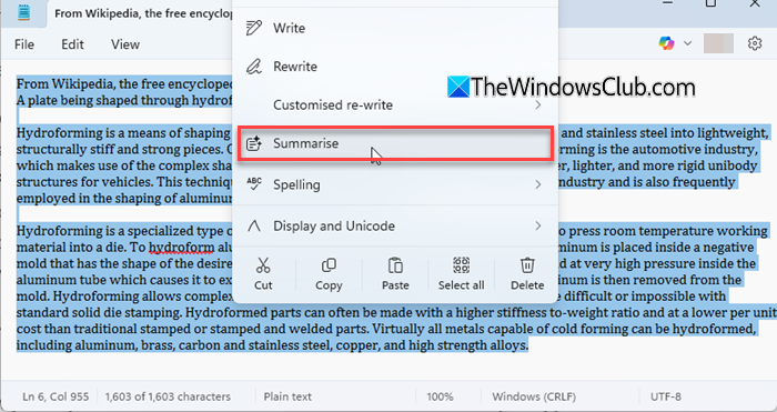 How to use Summarize in Windows 11 Notepad app