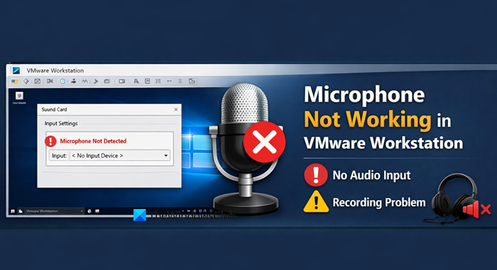 Microphone not working in VMware Workstation