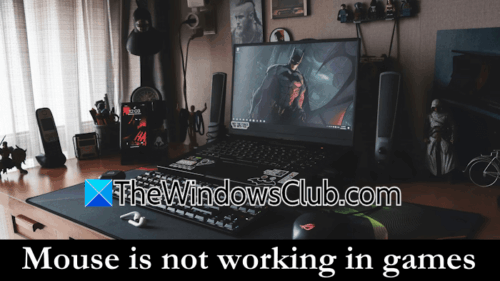 Controller detected but not working in Game on PC