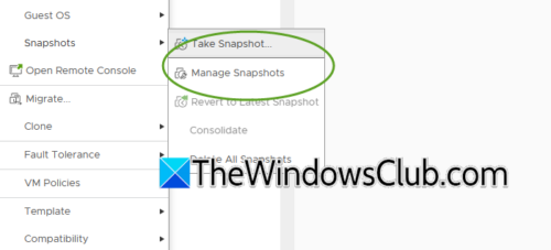How to recover deleted files from VMware Datastore