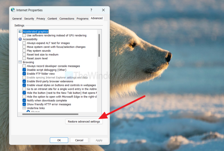 Microsoft Teams No internet connection was found [Fix]