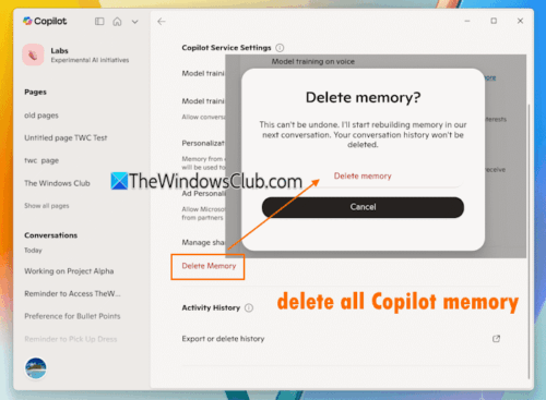 How to Manage or Delete Copilot Memory in Windows 11