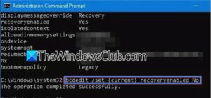 Automatic Repair Blue Screen in Windows 11