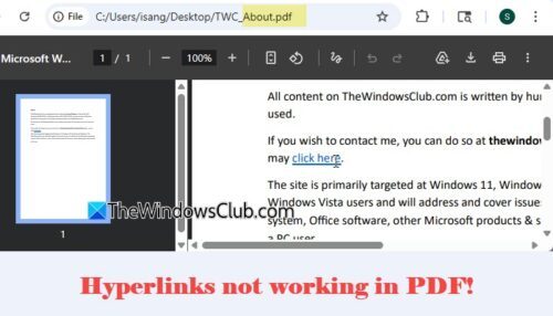 Hyperlinks not working in PDF [Fix]