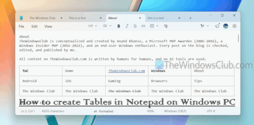How to create Tables in Notepad on Windows 11 PC