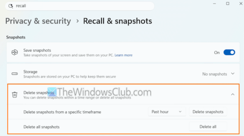 Can't access Recall right now in Windows 11 [Fix]