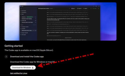 How to use Codex to build a Website