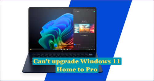 Can't upgrade Windows 11 Home to Pro