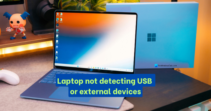 Laptop not detecting USB or External devices