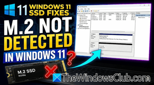 M.2 SSD is not showing in Windows 11