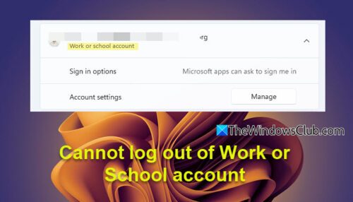 Cannot log out of Work or School account in Windows 11