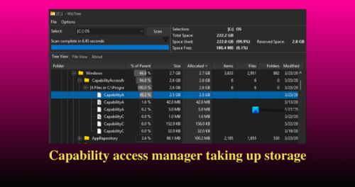 Capability Access Manager taking up storage in Windows 11